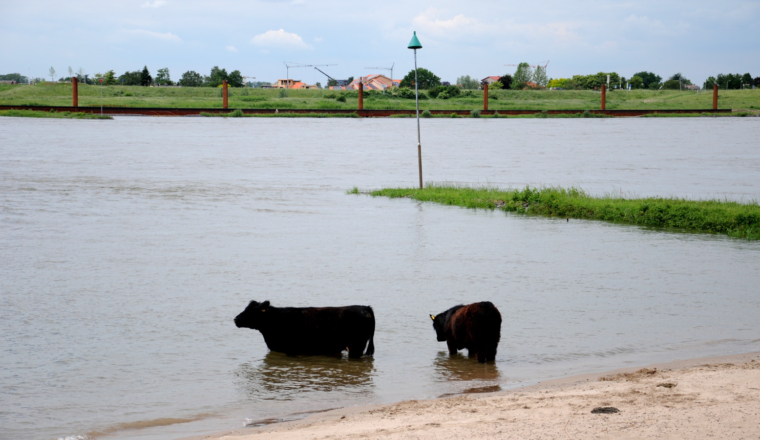 Ooijpolder / Stadswaard Nijmegen | Ronald Puma | PhotoBlog Netherlands